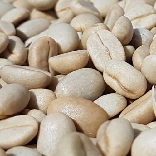 Central African Republic Coffee - Espresso & Coffee Guide